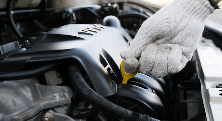 2008 Ford Focus Oil Change Guide - DAVES OIL CHANGE