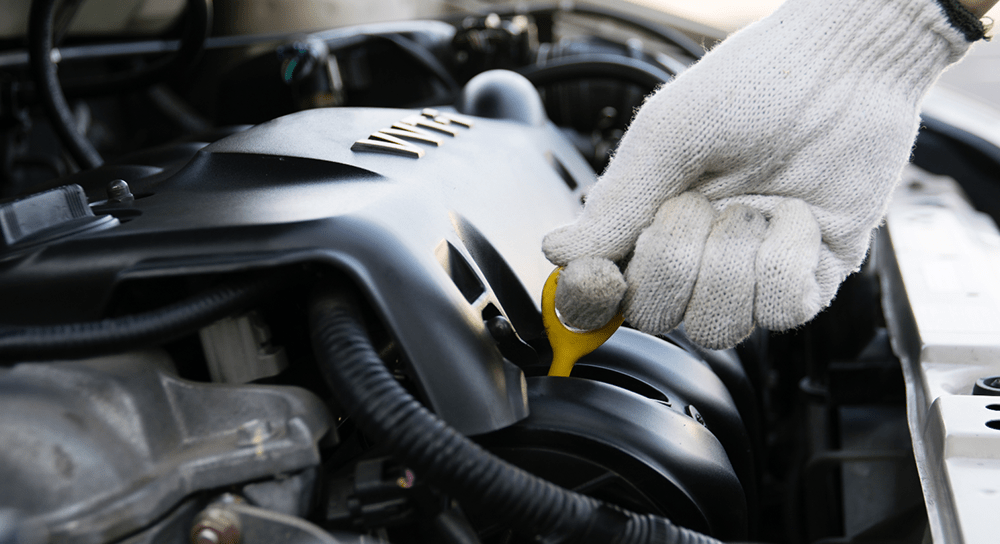 2008 Ford Focus Oil Change Guide - DAVES OIL CHANGE